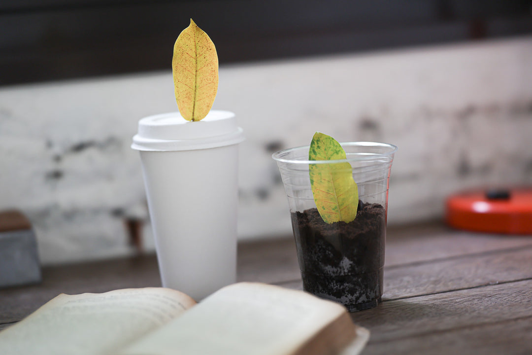 About Us – Corapak