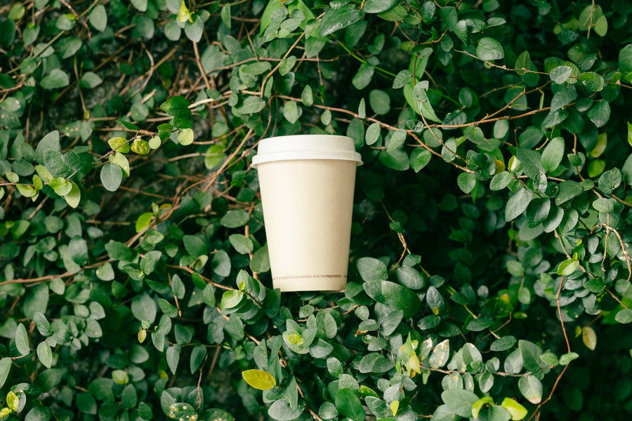 About Us – Corapak